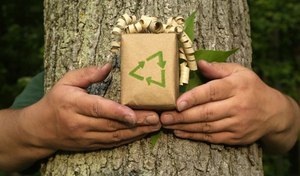 Amazing Green Packaging - A Buyers Guide - Octopus Office